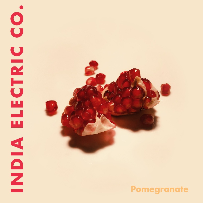 REVIEW: INDIA ELECTRIC CO.- POMEGRANATE (2024) - Maximum Volume Music